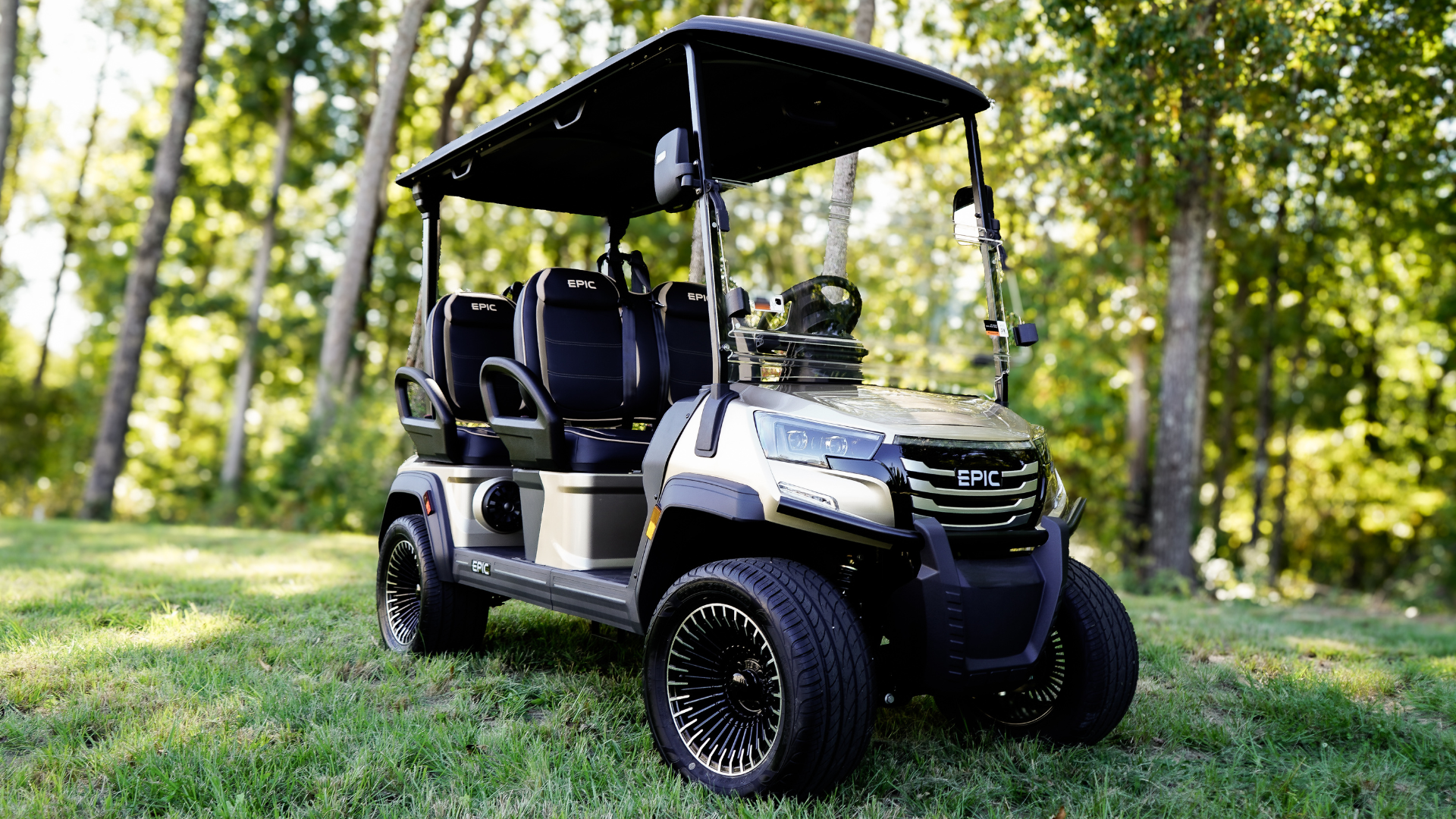 Explore Exceptional Golf Cart Sales, Rentals, Parts and Servicing at ...
